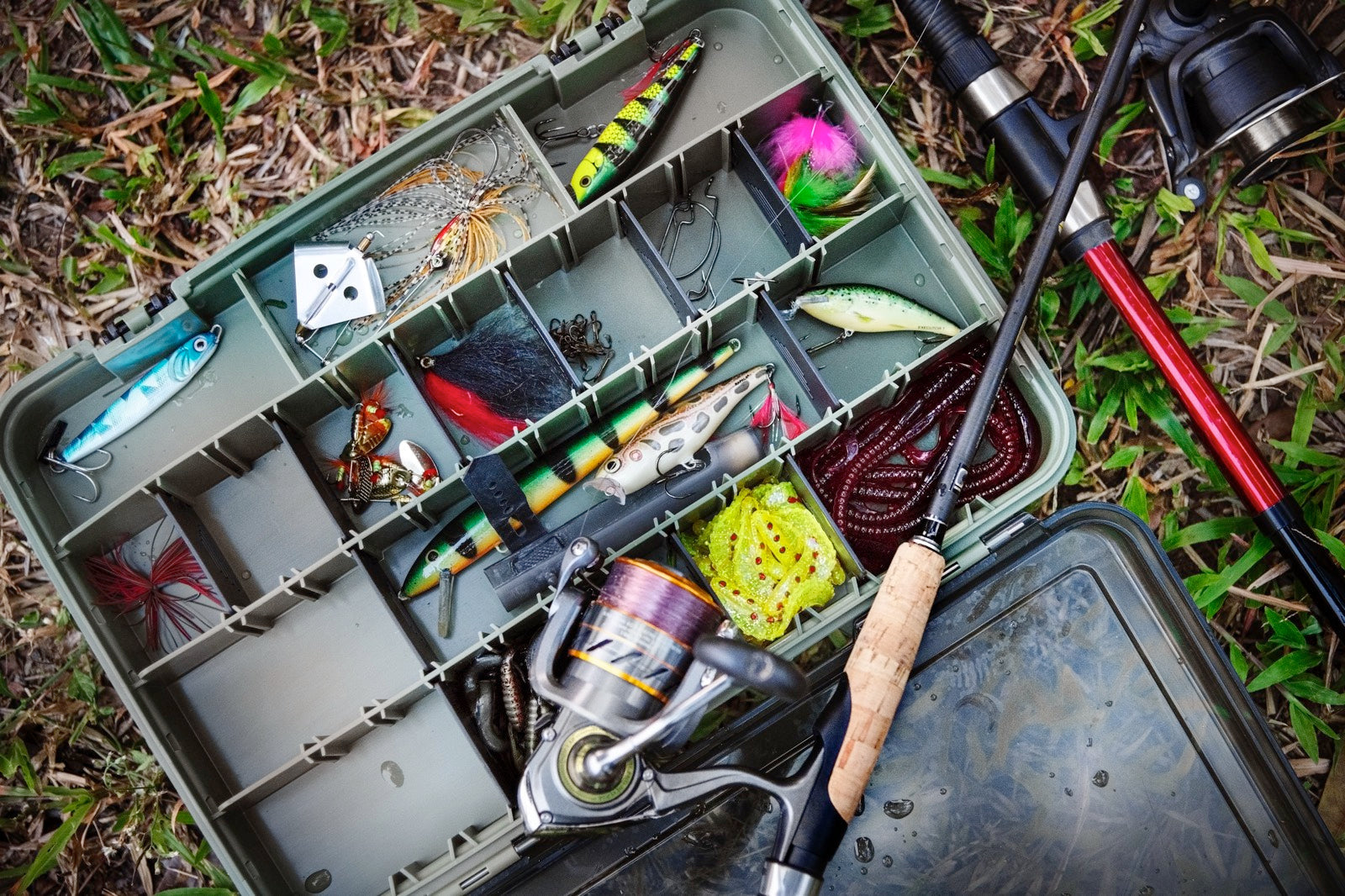 Discount Tackle | Fishing Gear Sale: Rods, Reels, Lures & More – Tackle ...